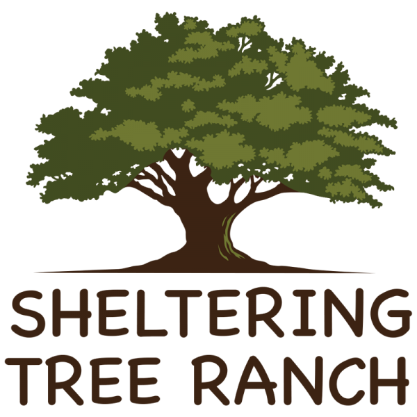 Contact - Sheltering Tree Ranch