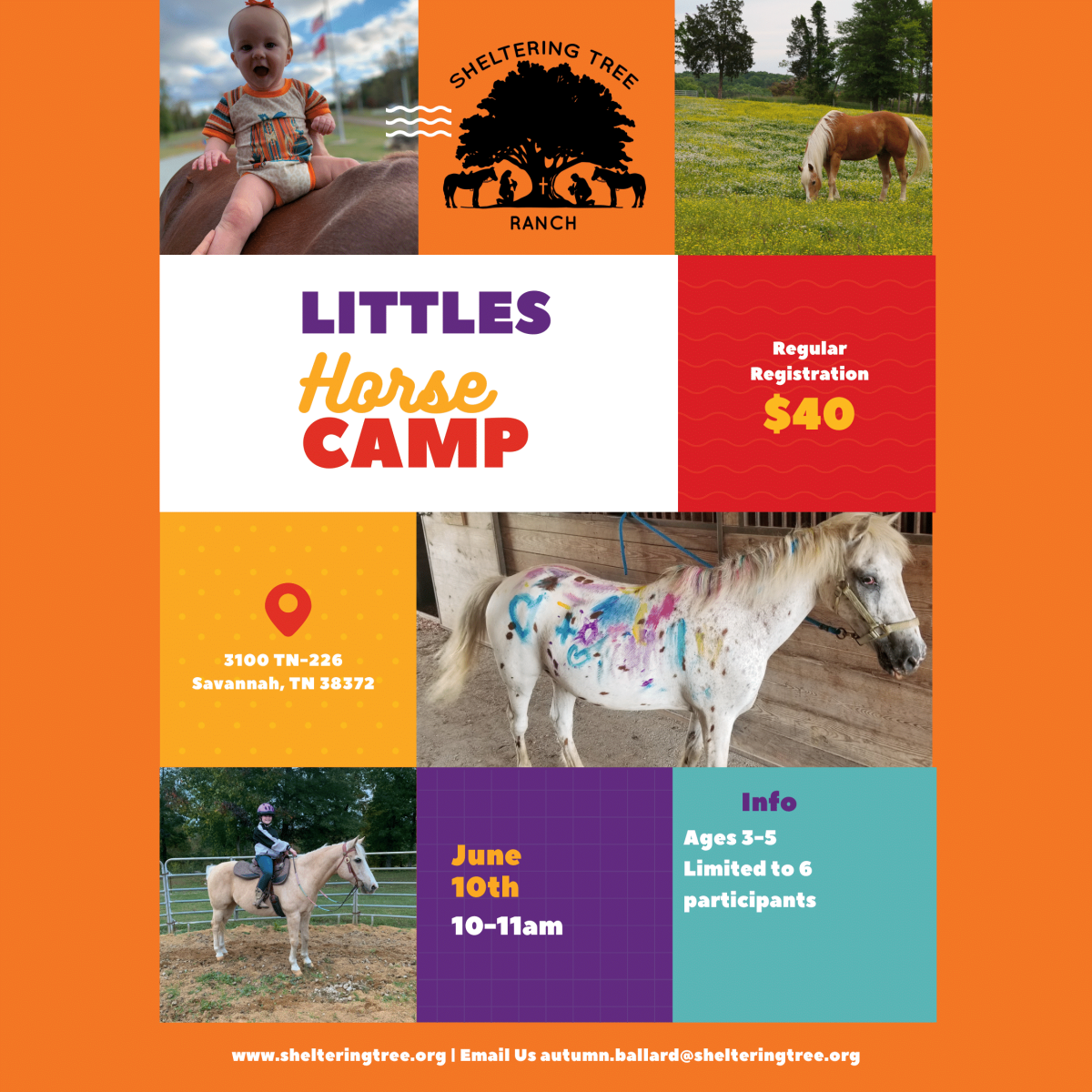 Horseback Riding - Sheltering Tree Ranch