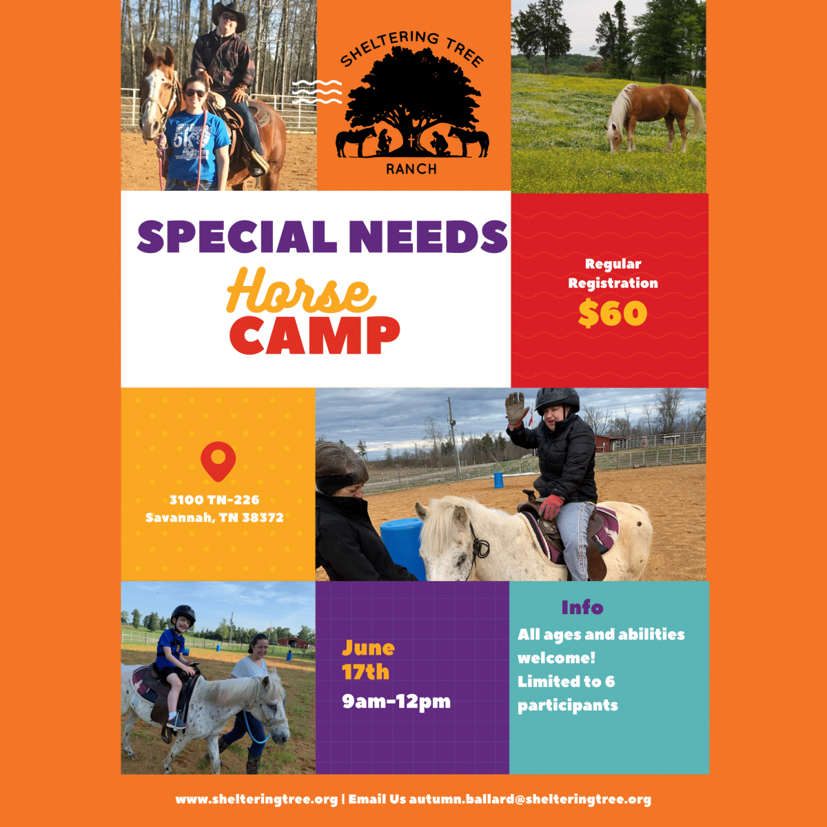 Horseback Riding - Sheltering Tree Ranch