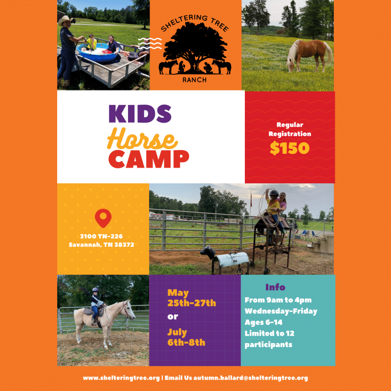 Horseback Riding - Sheltering Tree Ranch