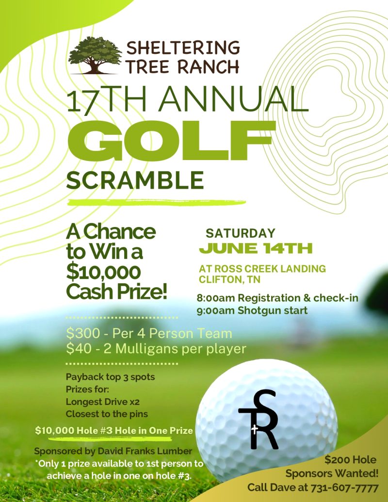 Home - Sheltering Tree Ranch