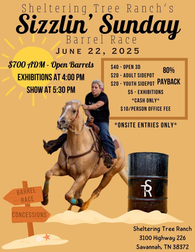 Home - Sheltering Tree Ranch